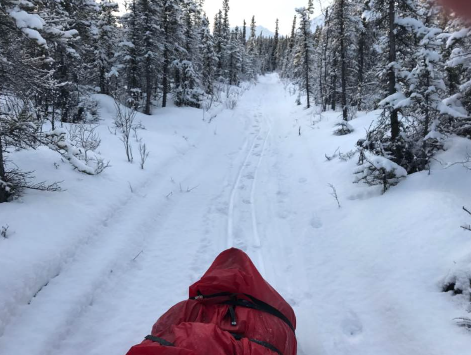 Dr. Kriska's Race Updates! Iditasport Impossible 2017 - WOGO