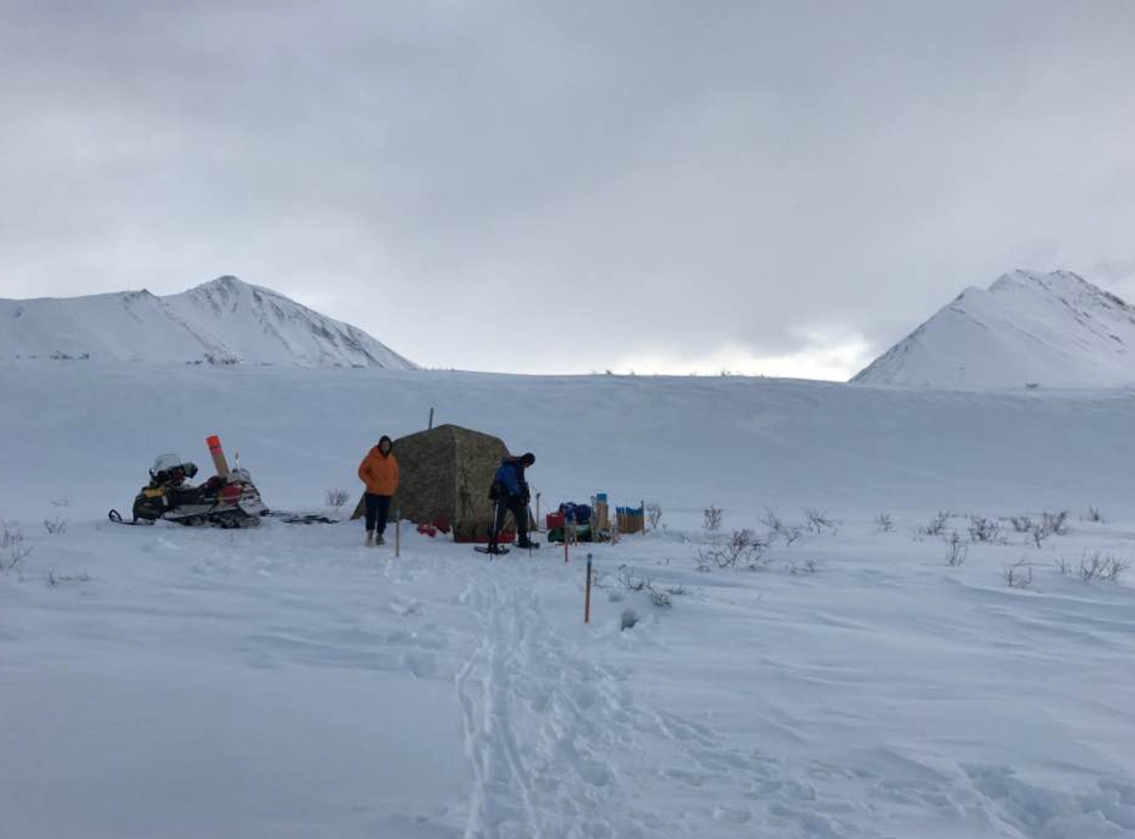 Dr. Kriska's Race Updates! Iditasport Impossible 2017 - WOGO