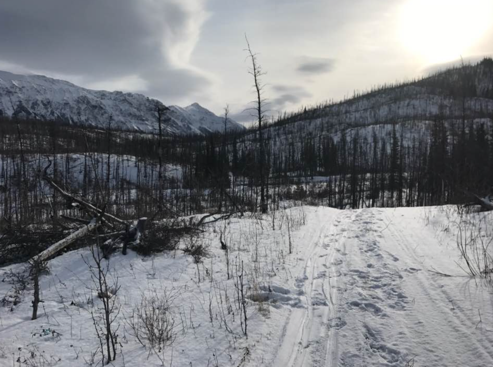 Dr. Kriska's Race Updates! Iditasport Impossible 2017 - WOGO