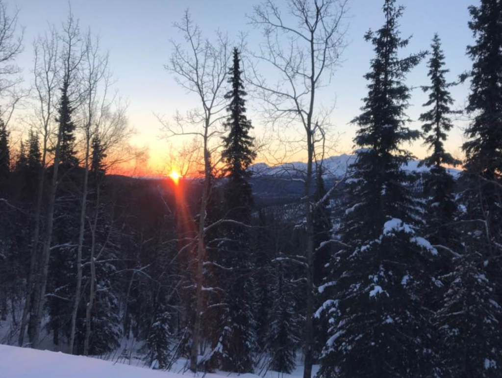 Dr. Kriska's Race Updates! Iditasport Impossible 2017 - WOGO