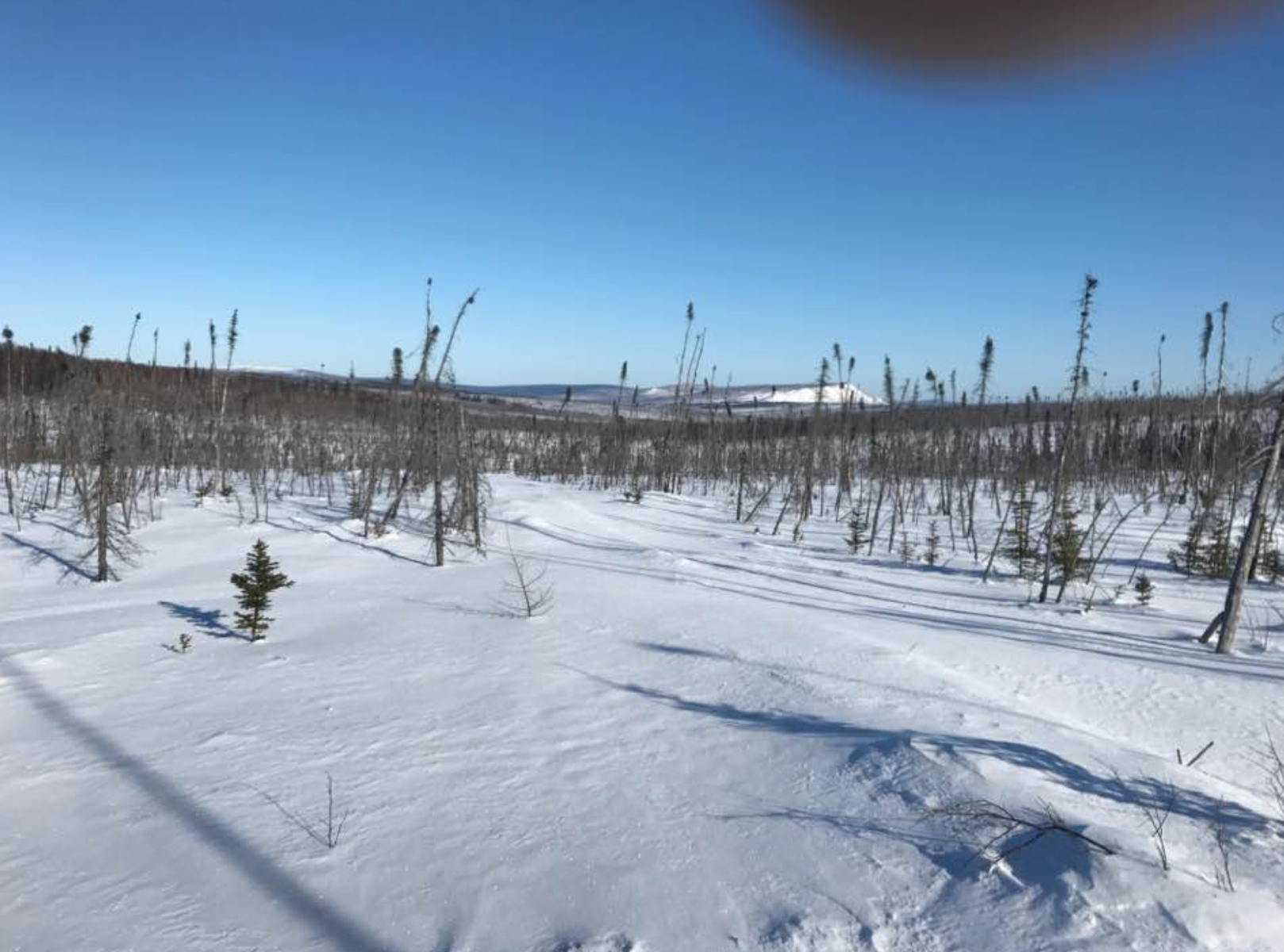 Dr. Kriska's Race Updates! Iditasport Impossible 2017 - WOGO